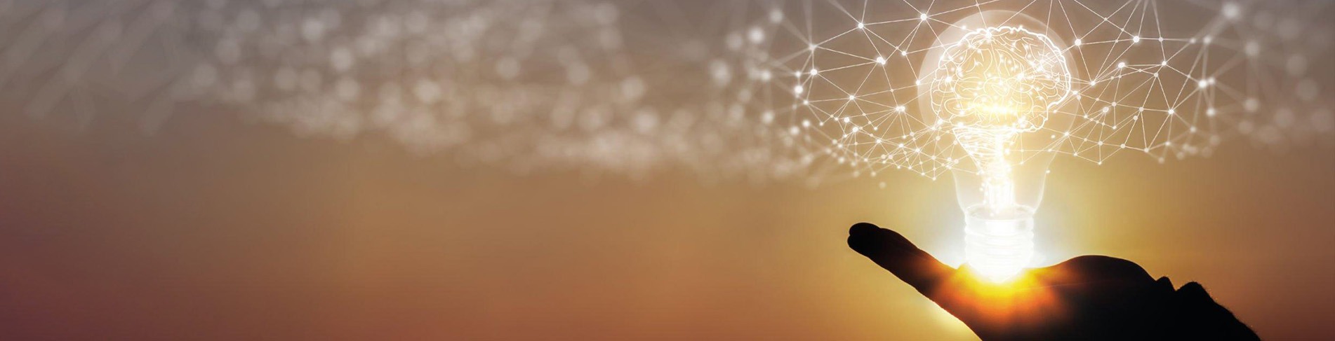 SOP Development Services - Insights US